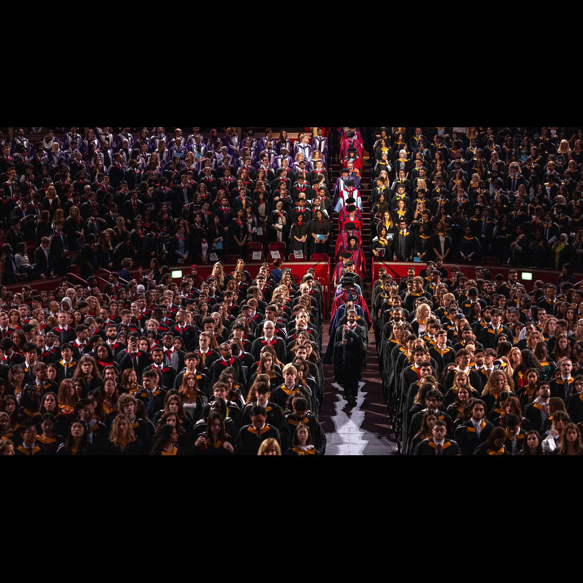 About graduation and Imperial